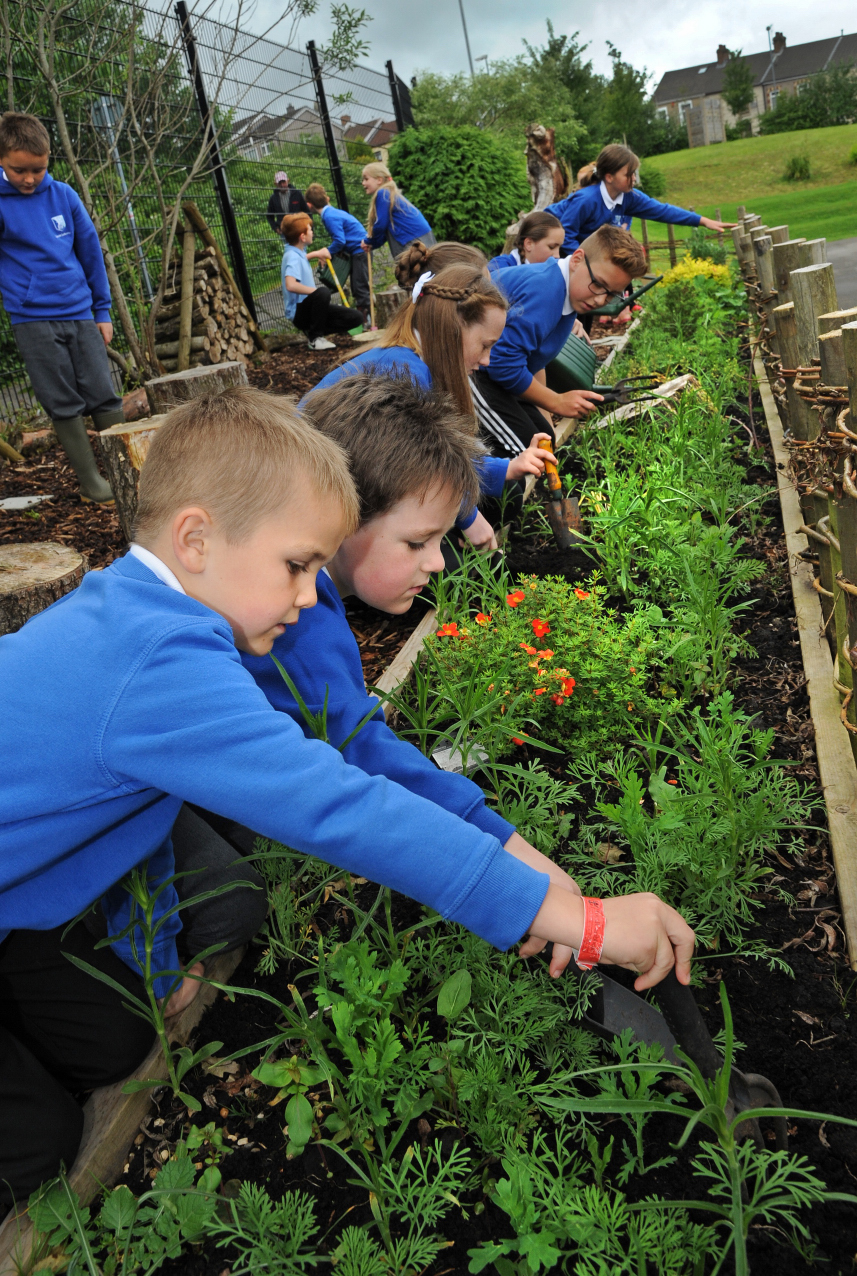 Williamstown Primary School - Home